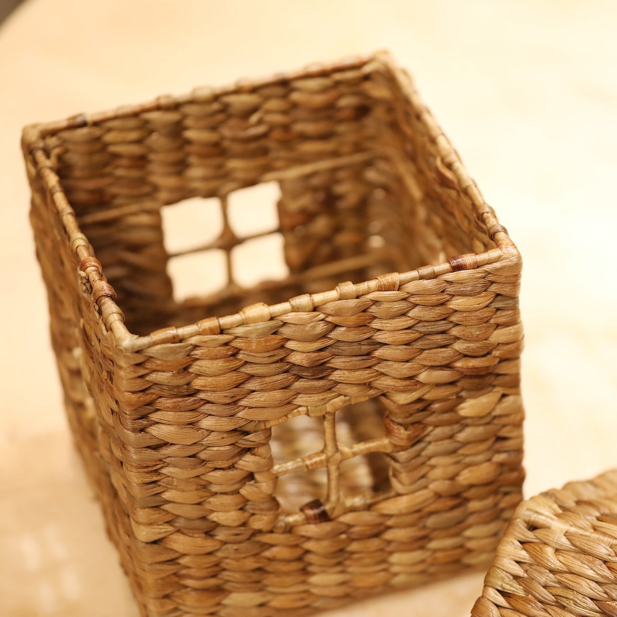 Woven House Box | Handcrafted Water Hyacinth Decor | Pastiche by AK