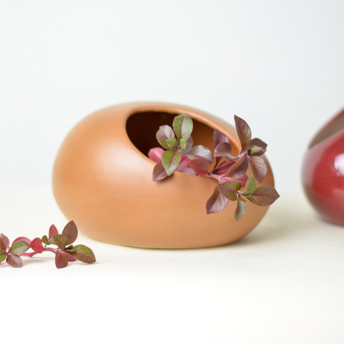 Buy Ceramic Pebble Planter | Gardening Decor in India | Pastiche – Pastiche